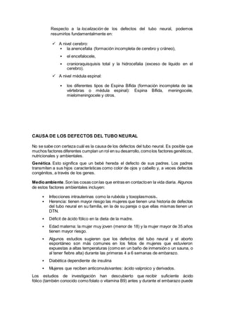 Defecto del tubo neural | DOCX