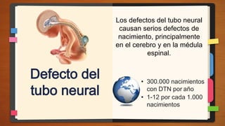 Defecto del tubo neuronal.pptx