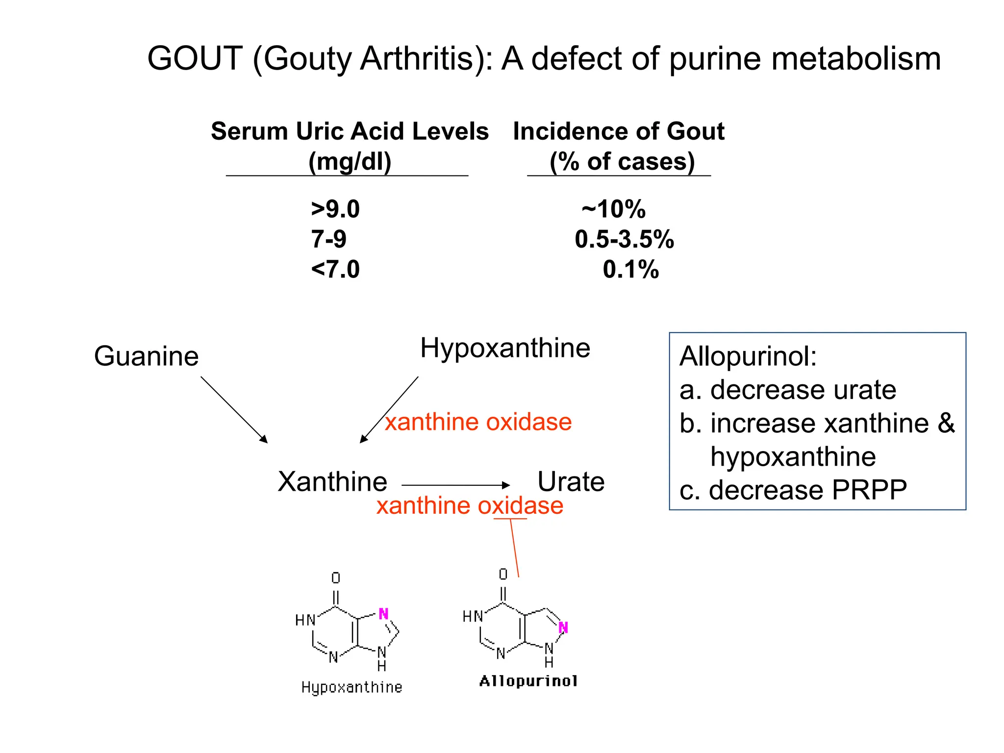 DEFECT OF PURINE AND PYRIMIDINES.....pptx