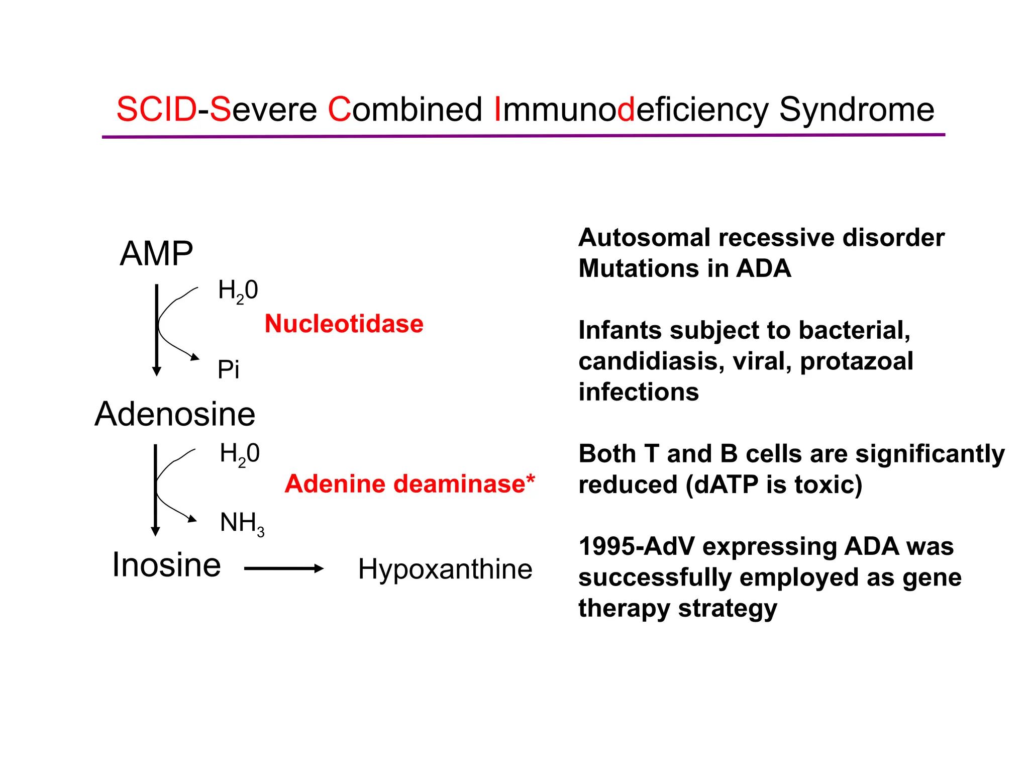 DEFECT OF PURINE AND PYRIMIDINES.....pptx