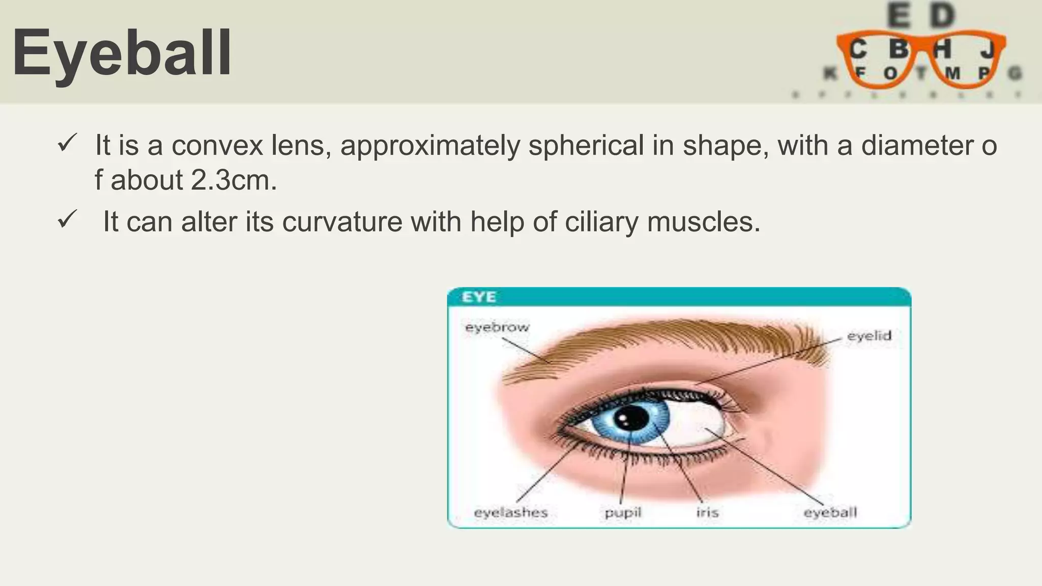 Defect of vision | PPTX