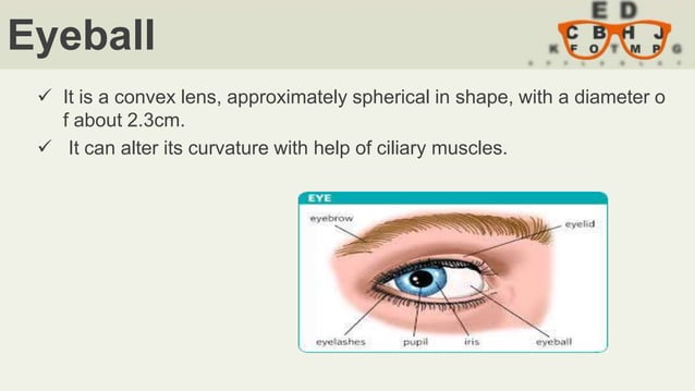 Defect of vision | PPTX