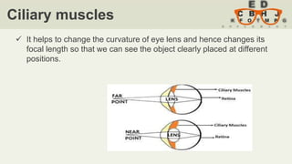 Defect of vision | PPTX