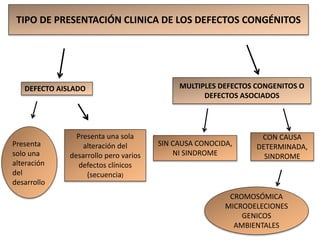 DEFECTOS CONGÉNITOS.pptxjhvjhvjvhhvjjvhjhvjhvhfyfurtyeerrtydtufyiuyitu ...