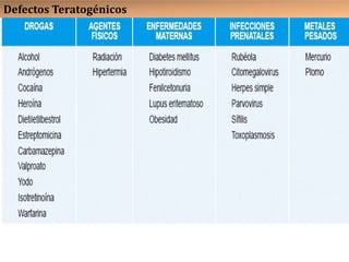 DEFECTOS CONGÉNITOS.pptxjhvjhvjvhhvjjvhjhvjhvhfyfurtyeerrtydtufyiuyitu ...