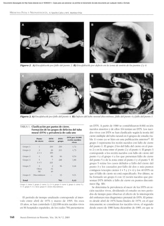Defectos del tubo neural | PDF