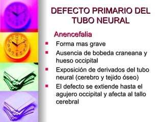Defectos del tubo neural | PPT