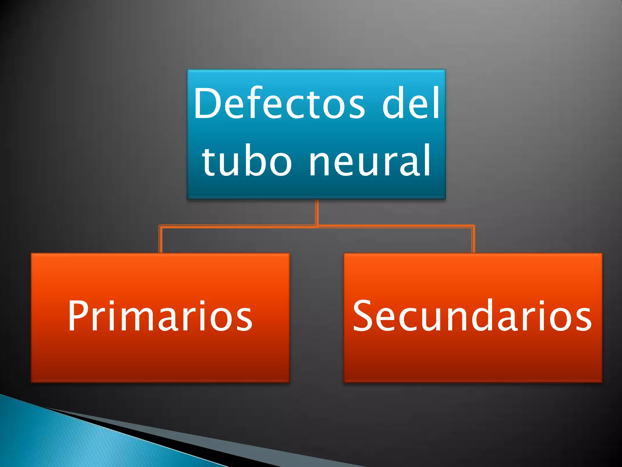 Defectos del tubo neural | PPTX