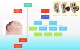 Defectos del tubo neural | PPTX
