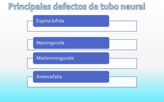 Defectos del tubo neural | PPTX