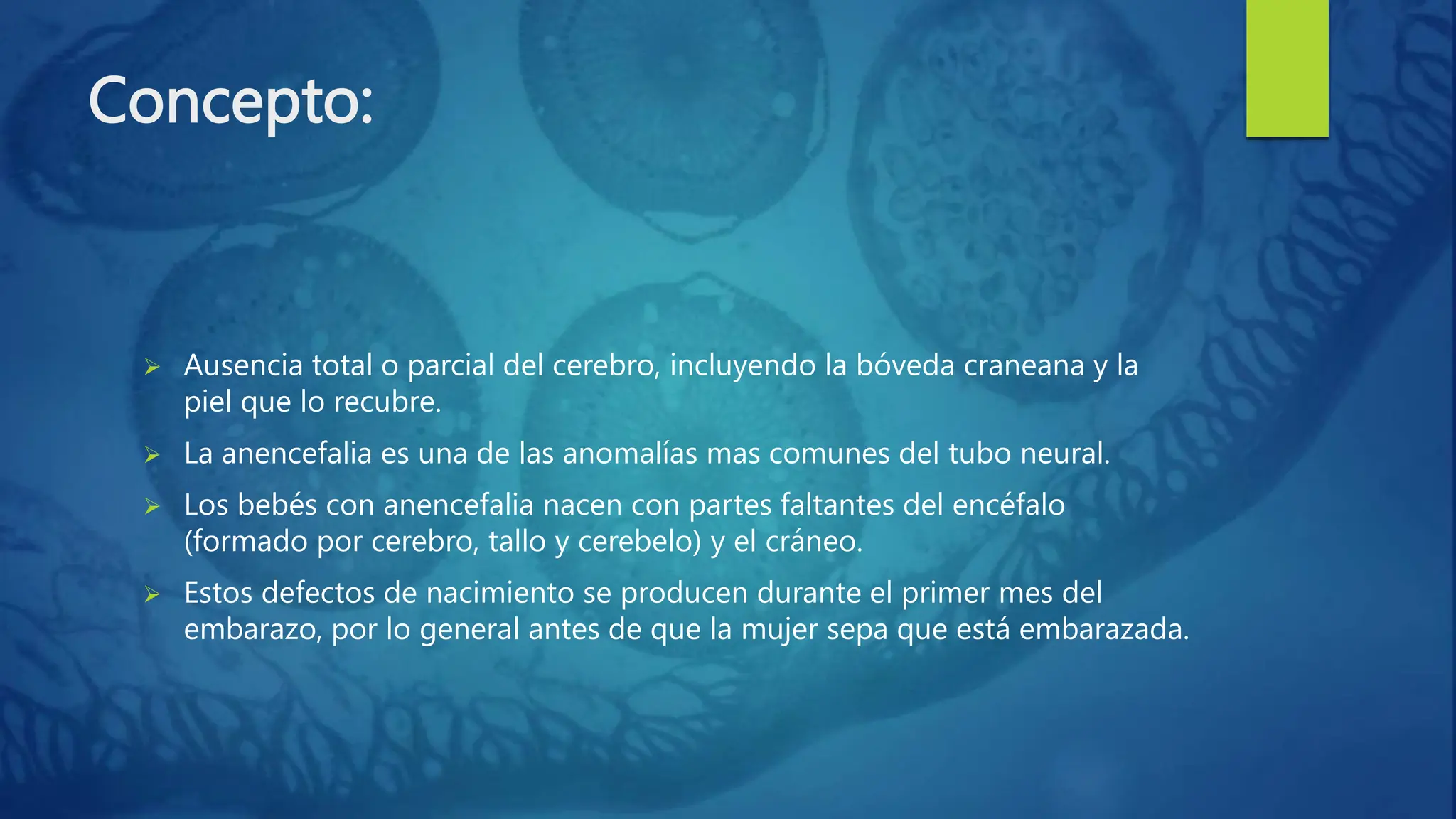 DEFECTOS DEL TUBO NEURAL pediatría .pptx