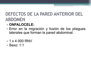Defectos de pared | PPTX