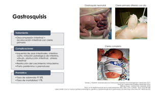 Defectos de pared abdominal | PDF