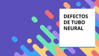 DEFECTOS CONGENITOS AL NACIMIENTO DE SISTEMA NERVIOSO | PPTX