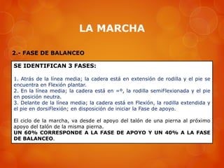 Defectos posturales | PPTX