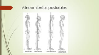 Defectos posturales | PPTX
