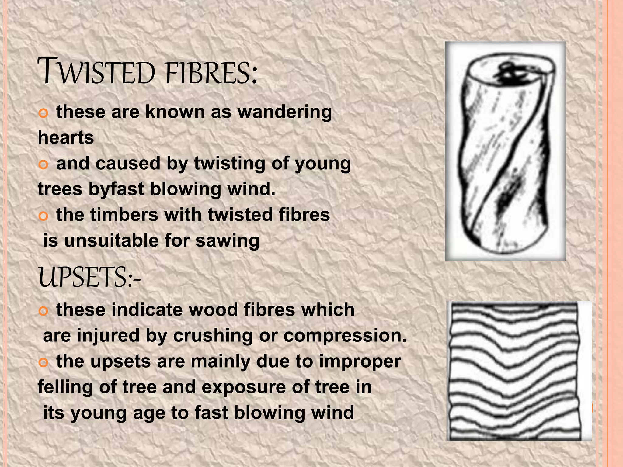 Defects in timber -- natural force | PPTX