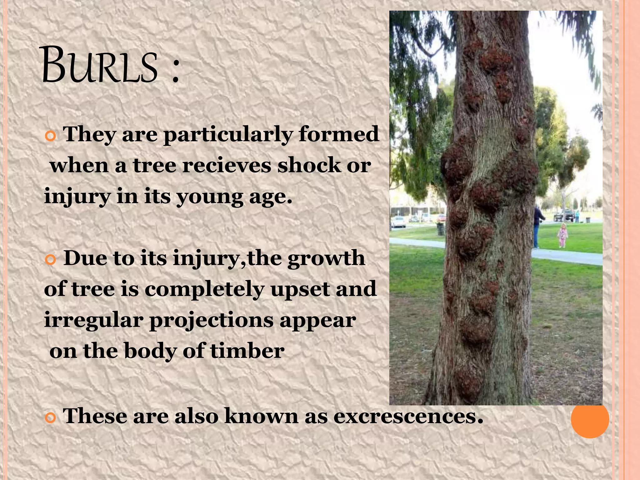 Defects in timber -- natural force | PPTX