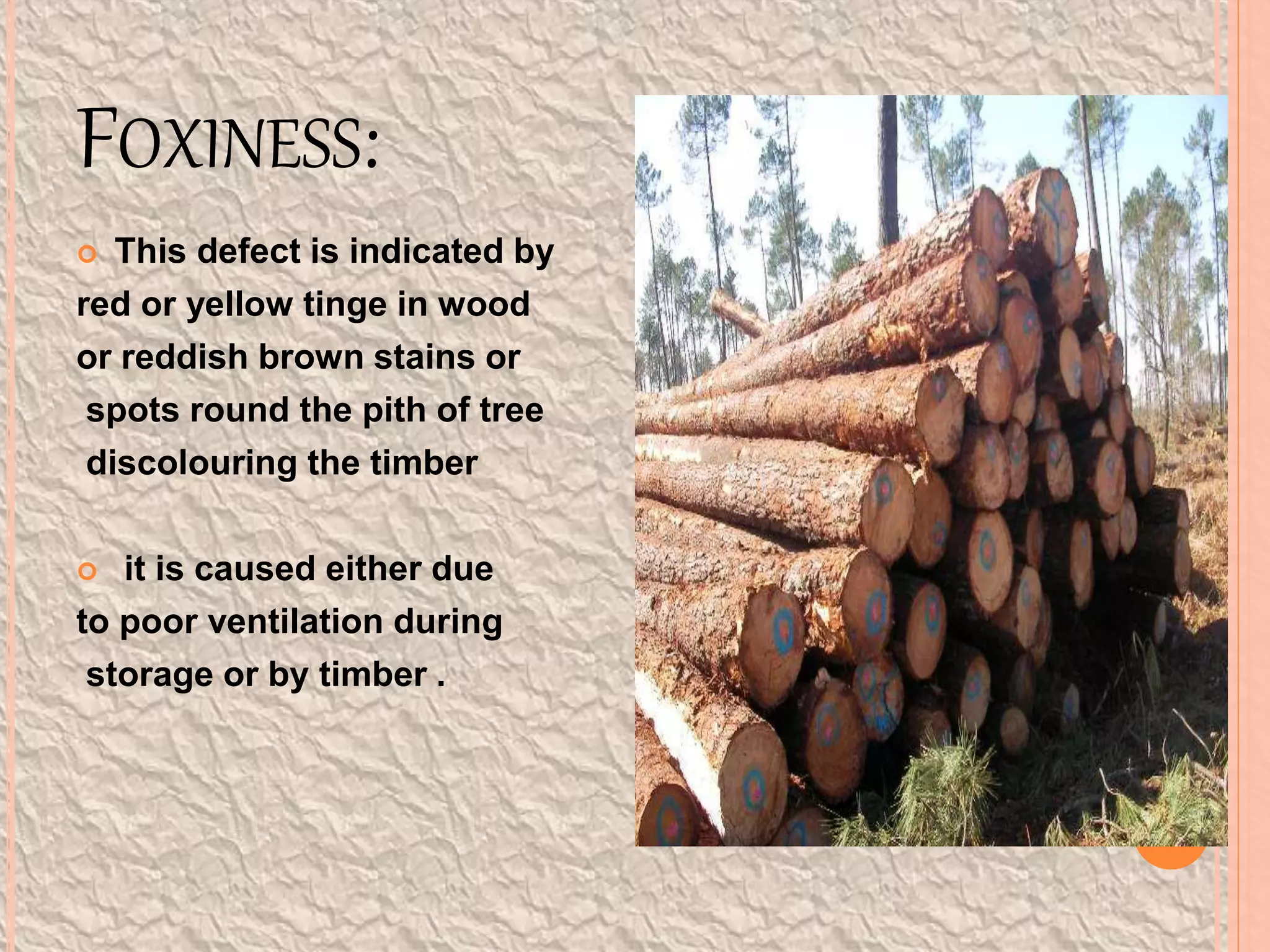 Defects in timber -- natural force | PPTX