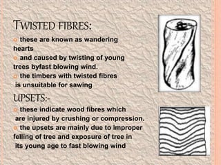Defects in timber -- natural force | PPTX