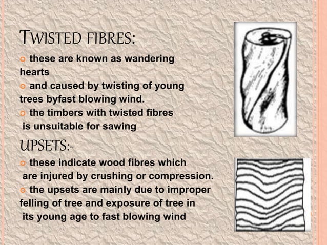 Defects in timber -- natural force | PPTX | Woodworking | Arts and Crafts