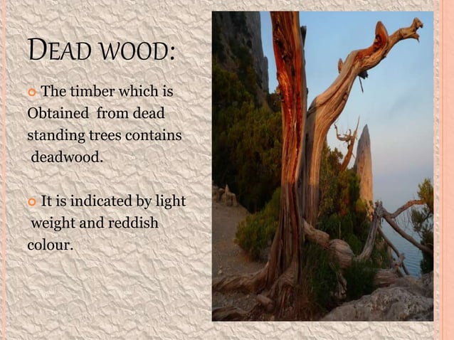 Defects in timber -- natural force | PPTX | Woodworking | Arts and Crafts