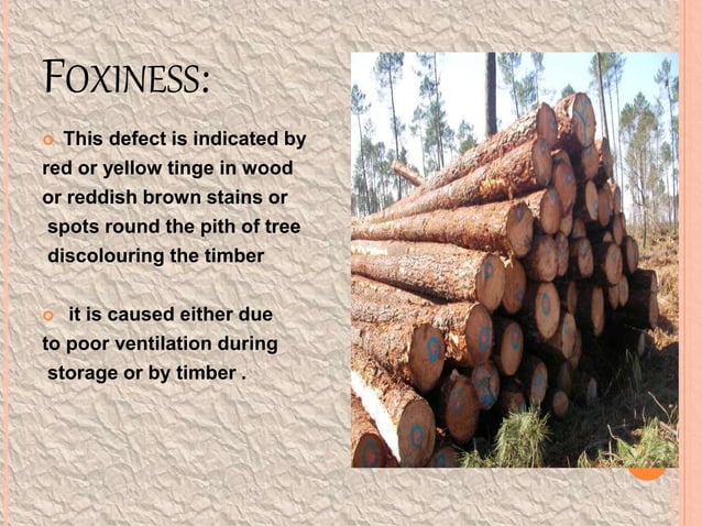 Defects in timber -- natural force | PPTX | Woodworking | Arts and Crafts