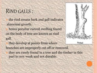 Defects in timber -- natural force | PPT