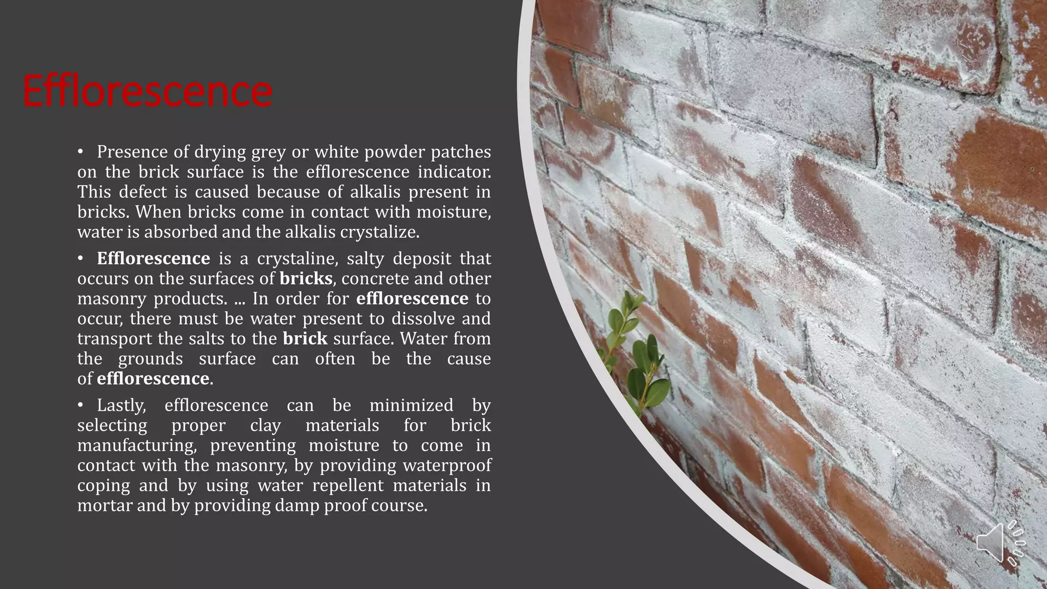 Defects in bricks | PPTX