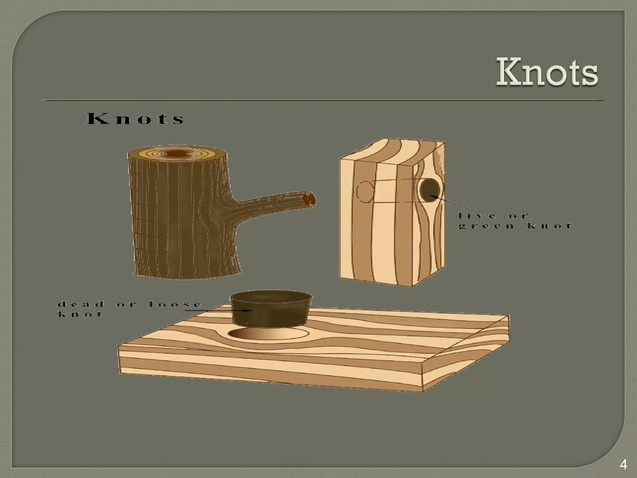 Defects in timber | PPT