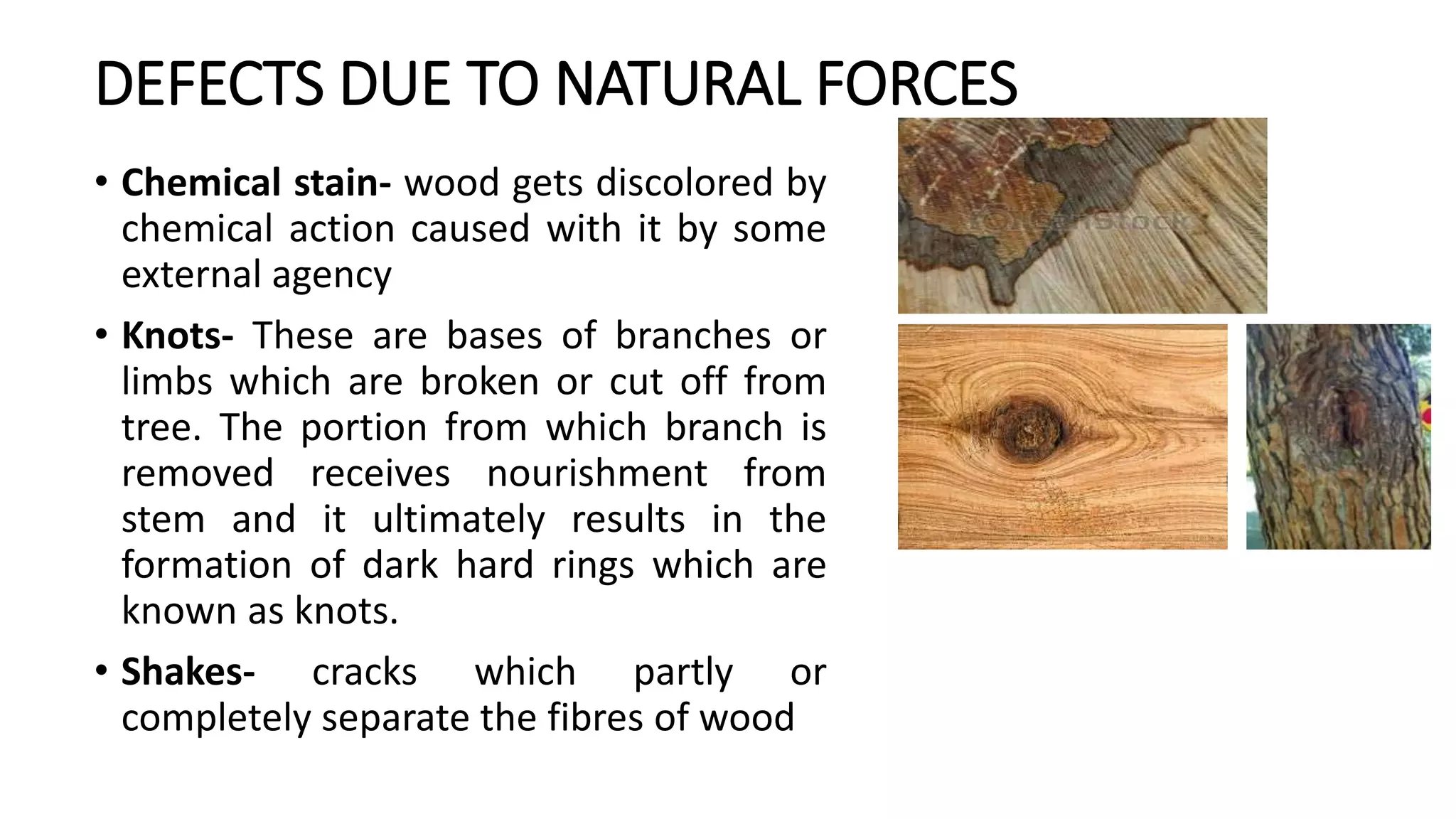 Defects in timber | PPTX