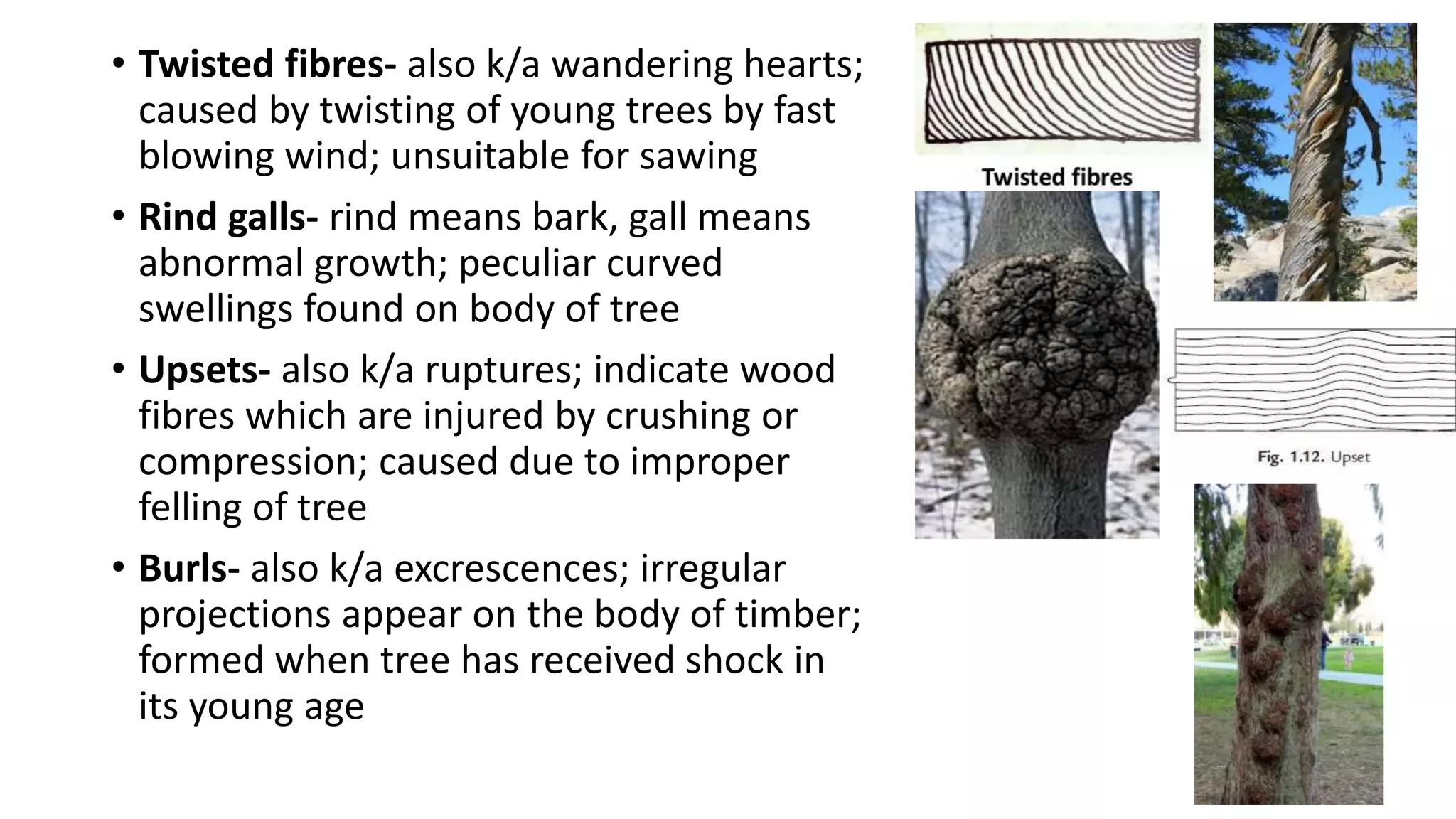 Defects in timber | PPTX