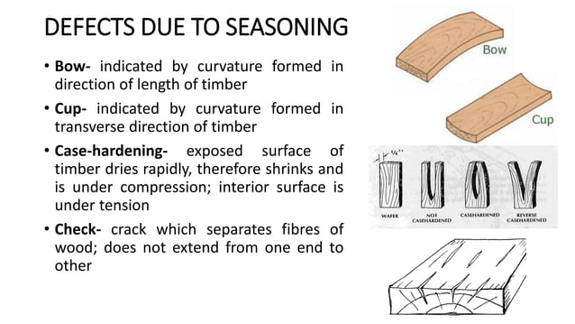 Defects in timber | PPTX