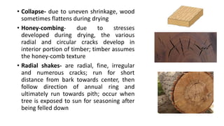 Defects in timber | PPTX