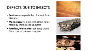 Defects in timber | PPTX