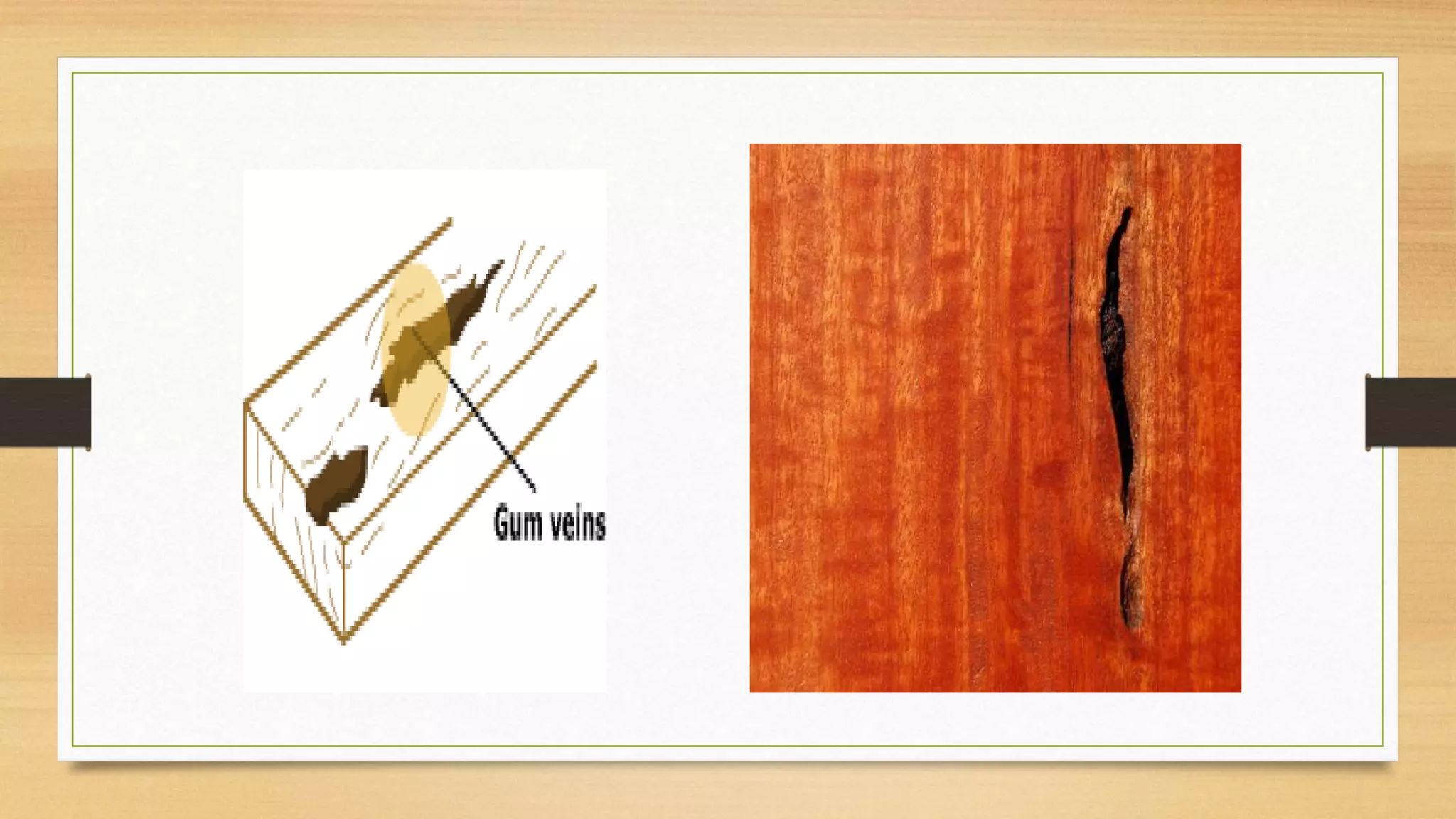 Defects in timber | PPTX