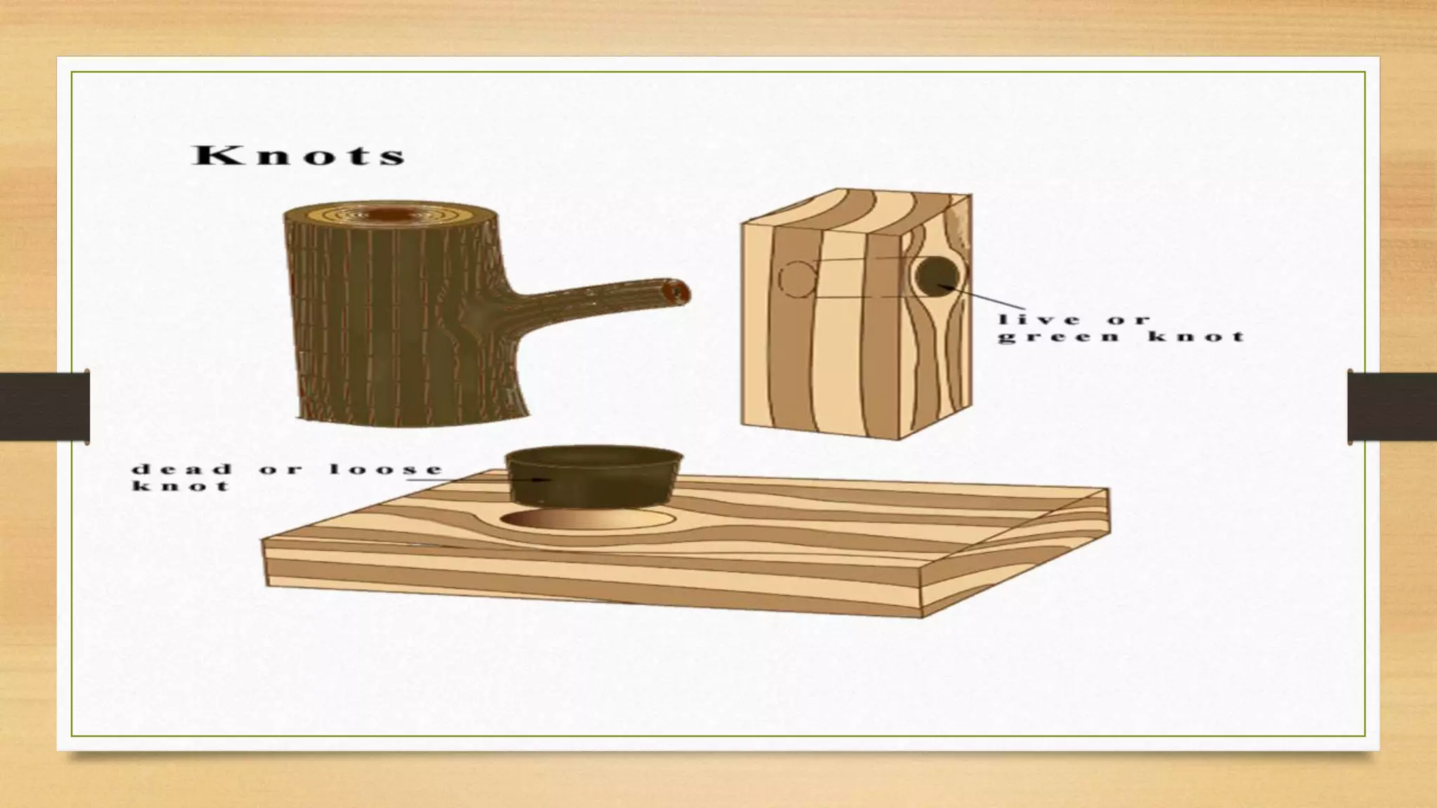 Defects in timber | PPTX