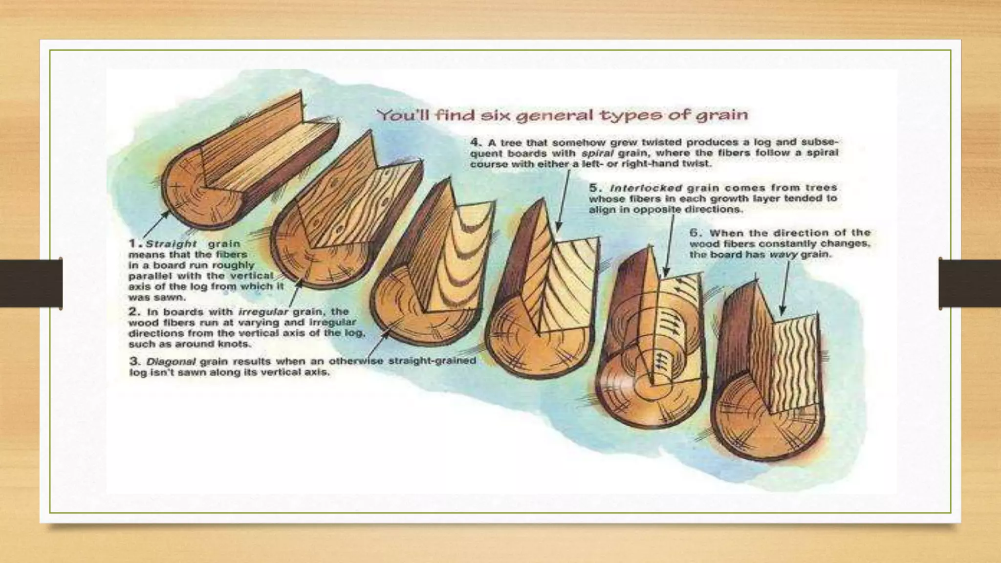 Defects in timber | PPTX