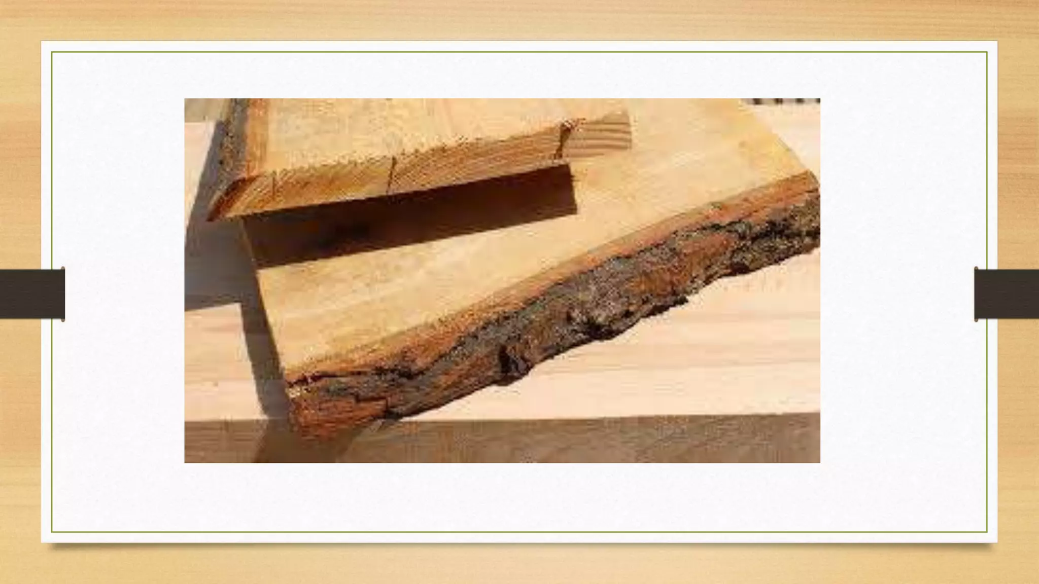 Defects in timber | PPTX