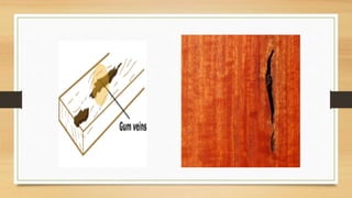 Defects in timber | PPTX