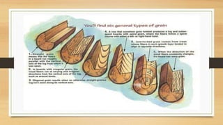 Defects in timber | PPTX