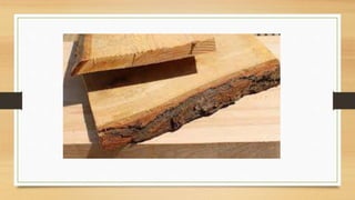 Defects in timber | PPTX