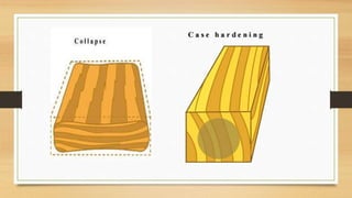 Defects in timber | PPTX