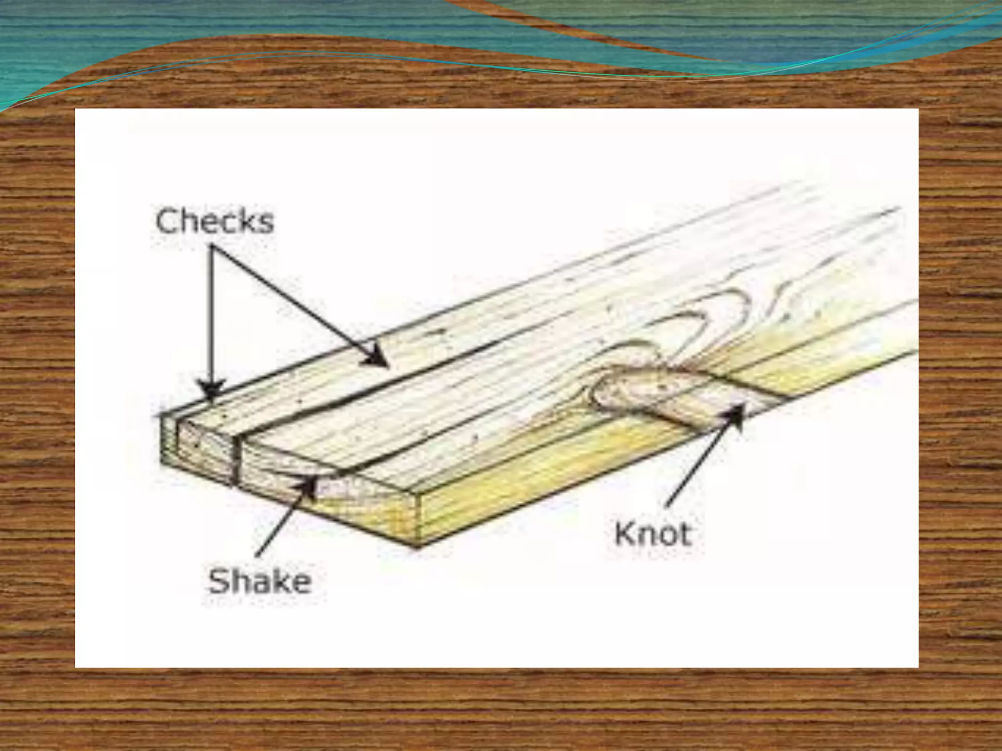 Defects in timber | PPTX