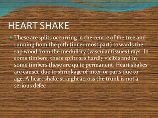 Defects in timber | PPTX