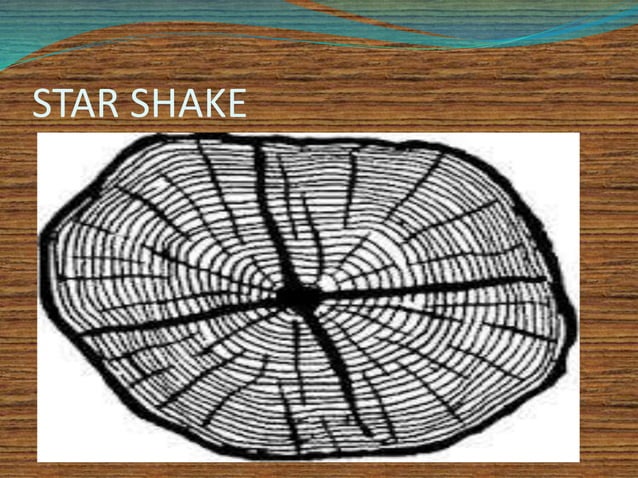 Defects in timber | PPTX