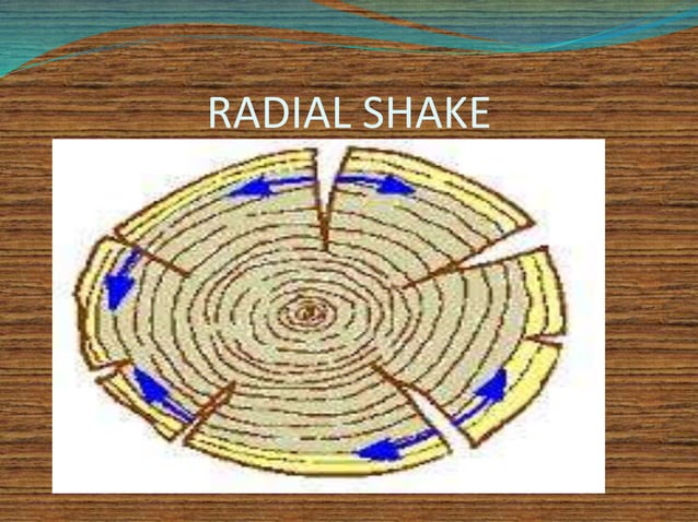 Defects in timber | PPTX