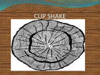 Defects in timber | PPTX