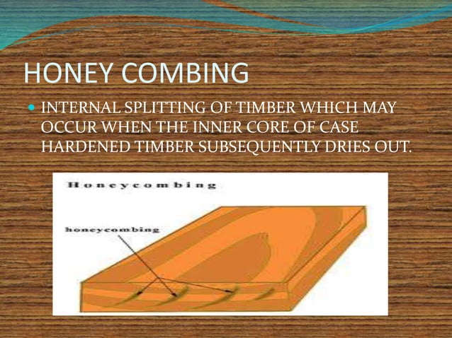 Defects in timber | PPTX