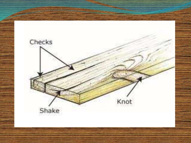 Defects in timber | PPTX